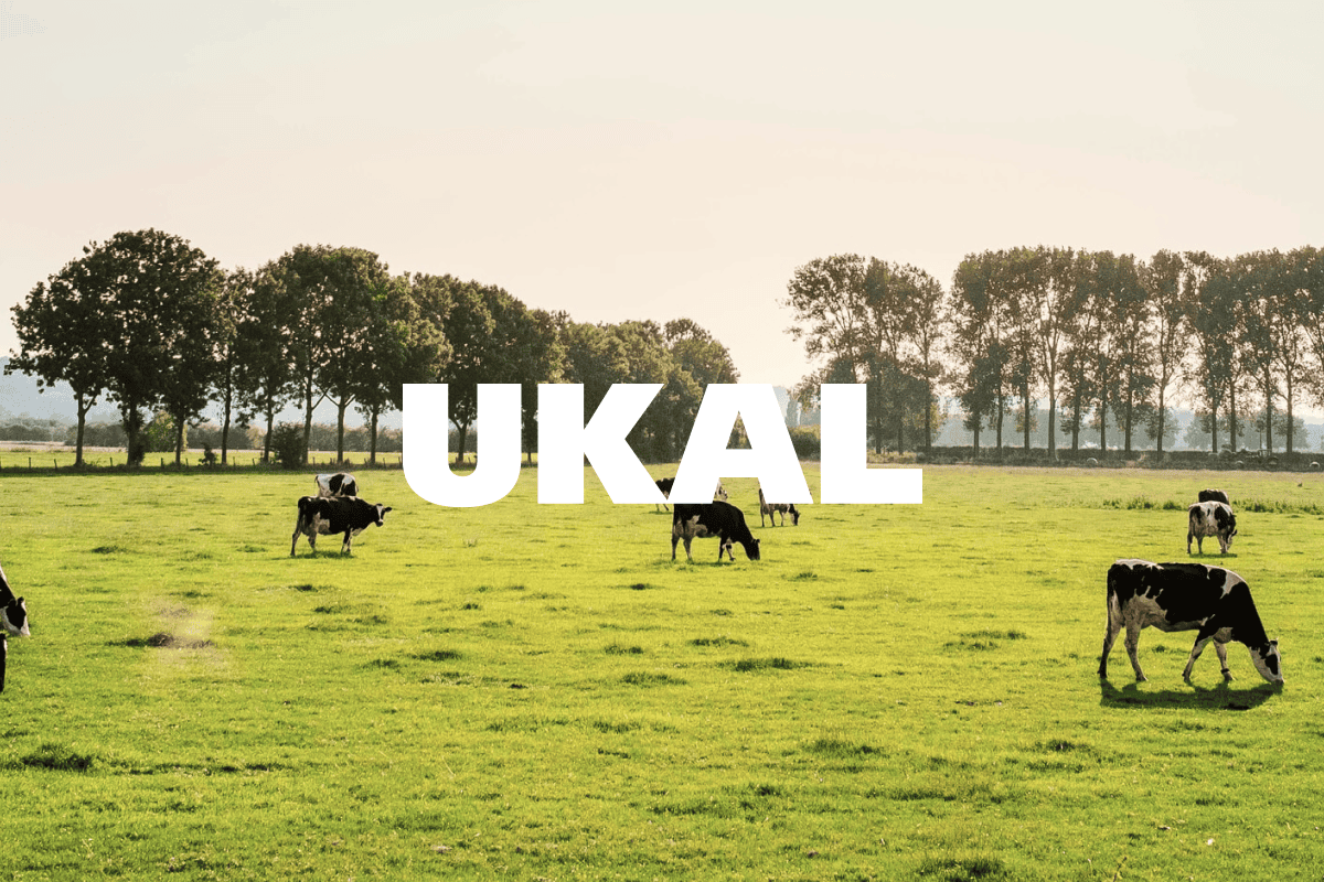 UKAL - Évolution de l'écosystème e-commerce